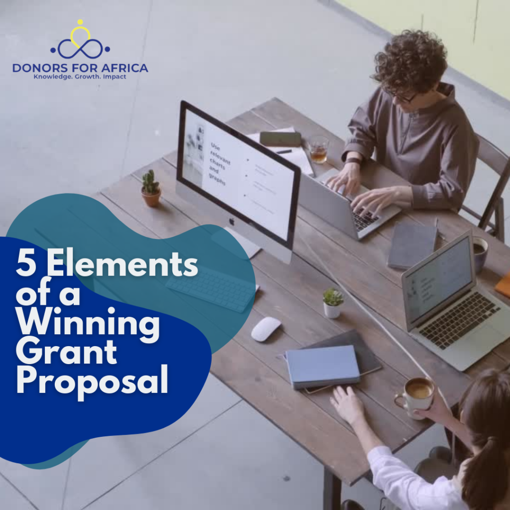 5 Elements of a Winning Grant Proposal - Donors For Africa Foundation